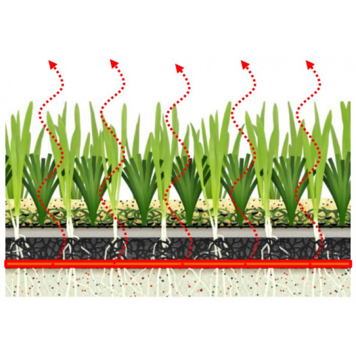 Hybrid Turf – ARSSPORT